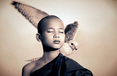 ::B L O G H I S T A∙P E R∙C A S O:: : Gregory Colbert